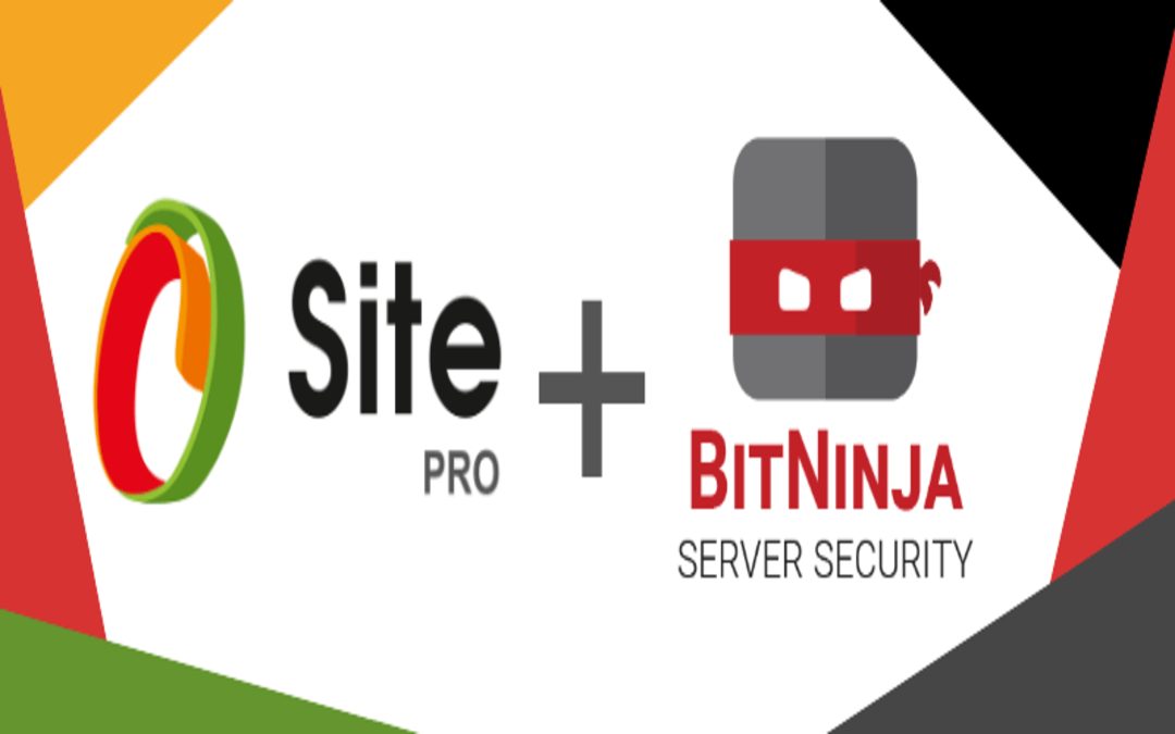 BitNinja - Full-Stack Server Protection