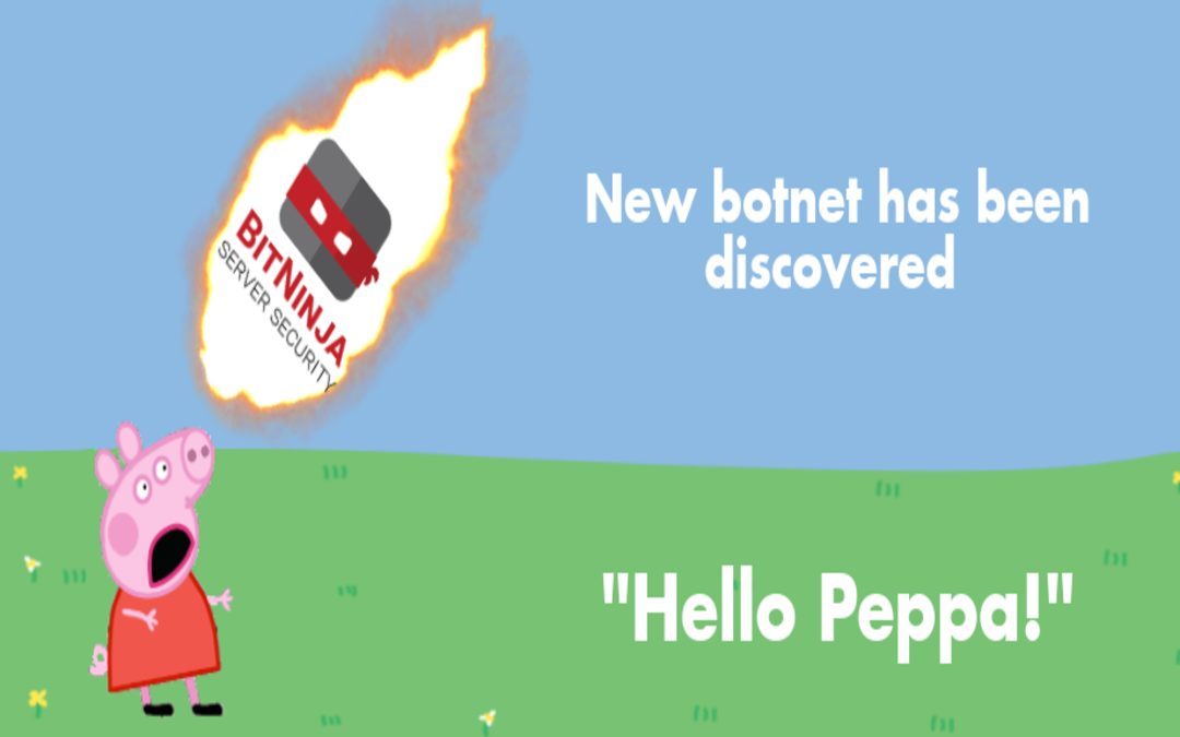 BitNinja - Full-Stack Server Protection