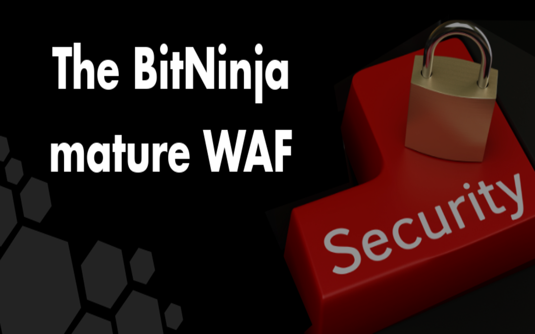BitNinja - Full-Stack Server Protection