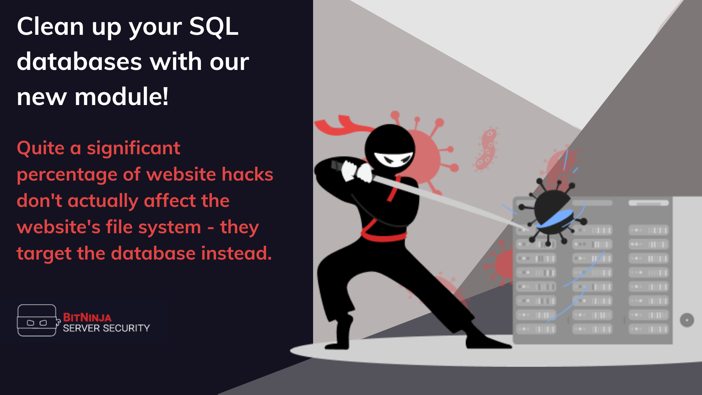 Clean Up Your Sql Databases With Our New Module Bitninja Security