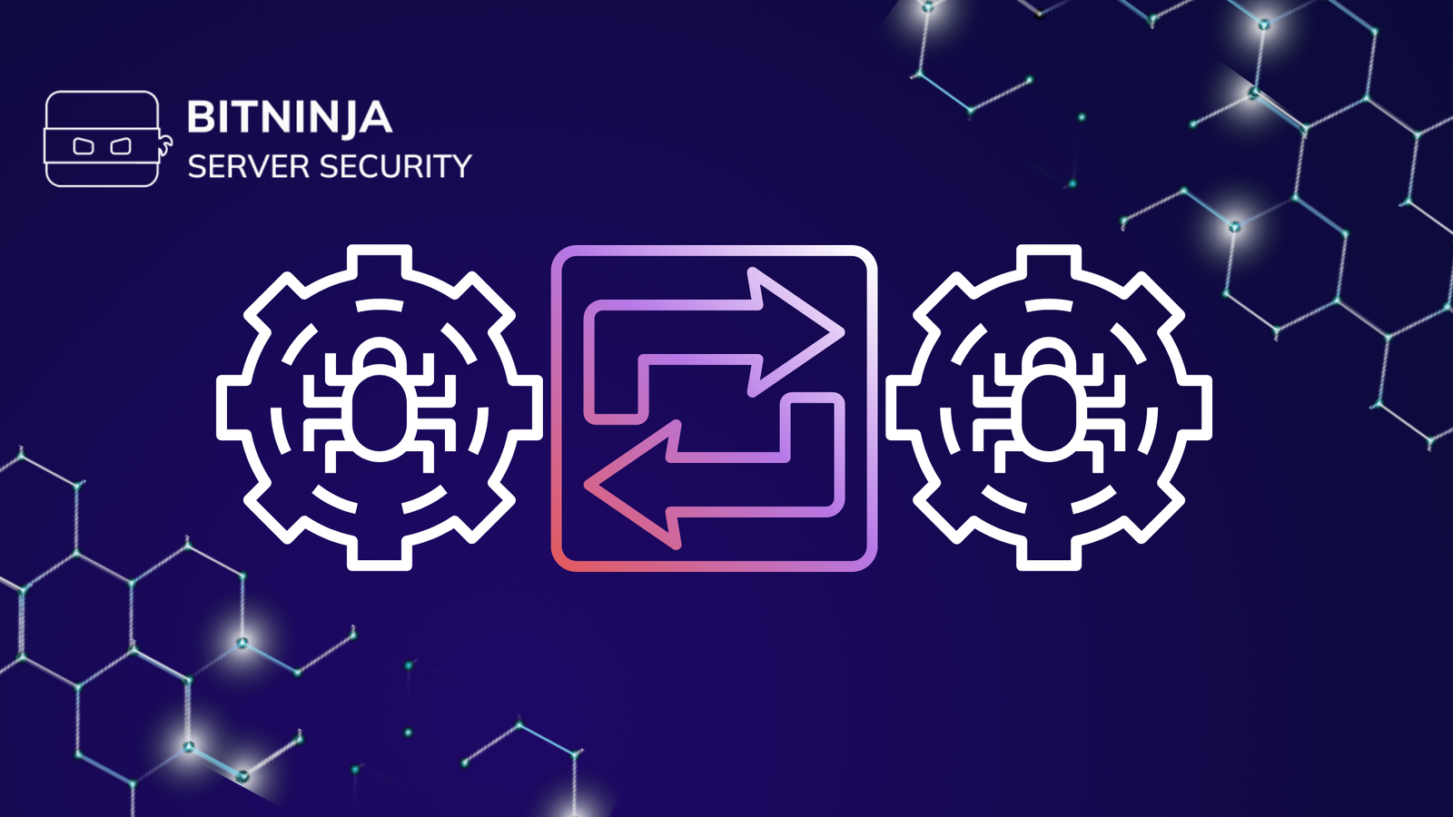 The Endless Loop of Malware Reinfection - BitNinja Security