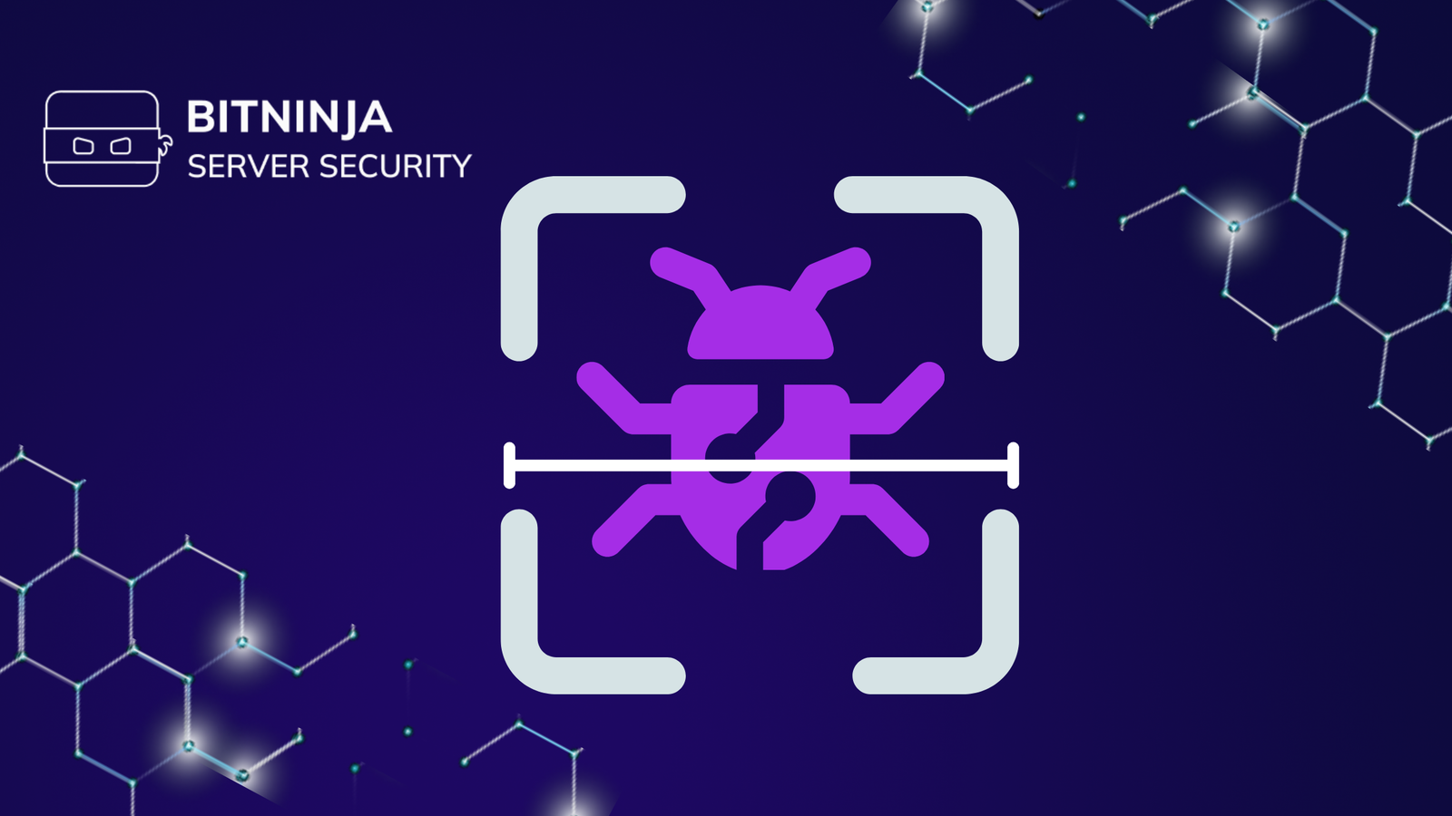 Navigating the Maze of Malware Scanners