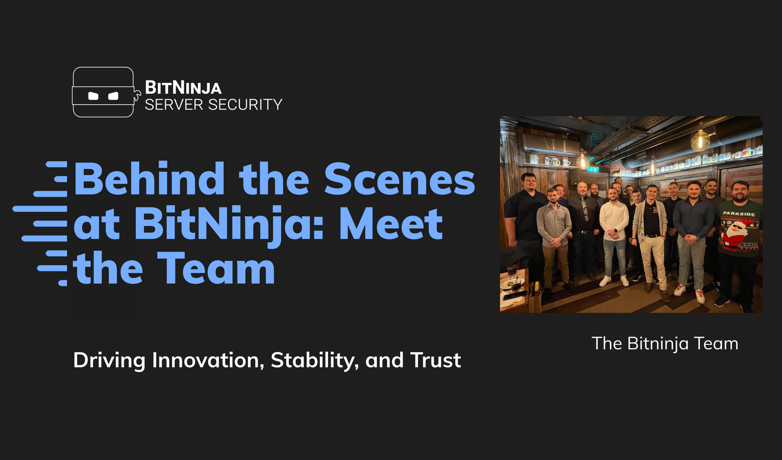 Behind the Scenes at BitNinja: Meet the Team Driving Innovation, Stability, and Trust