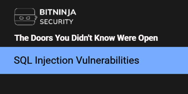 SQL Injection: Protect Your Database Queries Now - BitNinja Security
