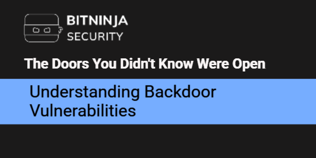 Understanding Backdoor Vulnerabilities in Web Applications - BitNinja ...