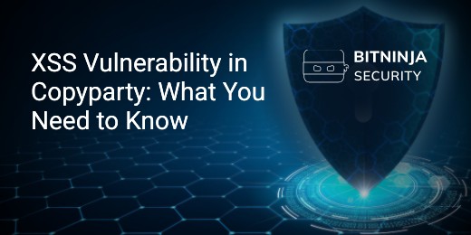XSS Vulnerability in Copyparty: What You Need to Know - BitNinja Security