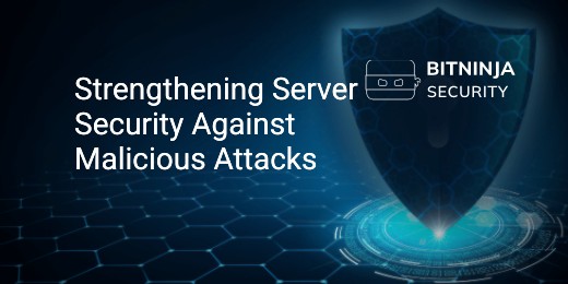 Strengthening Server Security Against Malicious Attacks - BitNinja Security