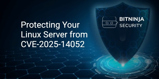 Protecting Your Linux Server from CVE-2025-14052 - BitNinja Security